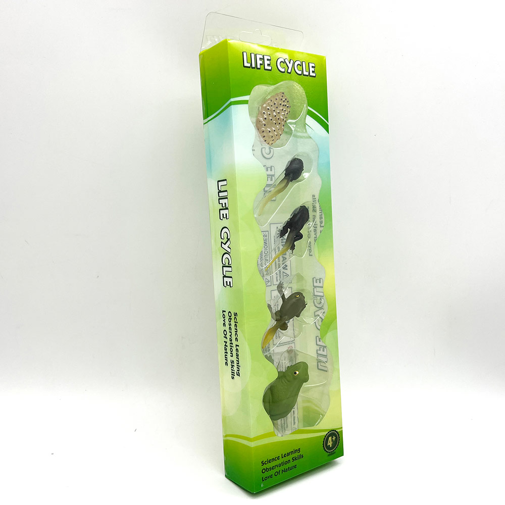 Životni ciklus žabe set od 4 dela - Toyz